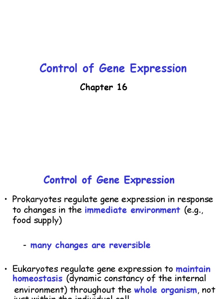 Chapter 16 BIO 1510 | PDF | Operon | Repressor