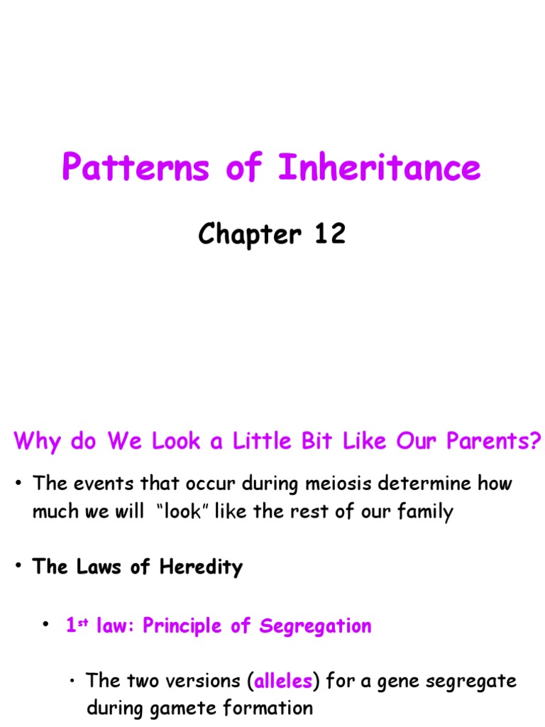 Chapter 12 BIO 1510 | PDF | Dominance (Genetics) | Zygosity