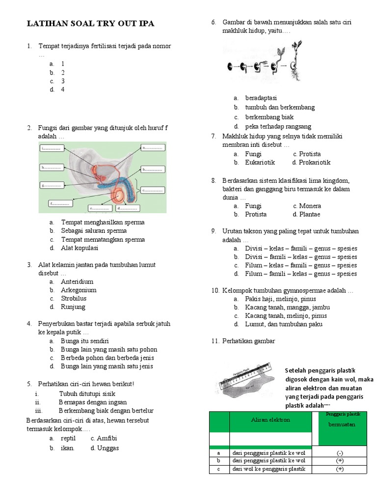 Try Out IPA 1 Kelas 9 (AW) | PDF