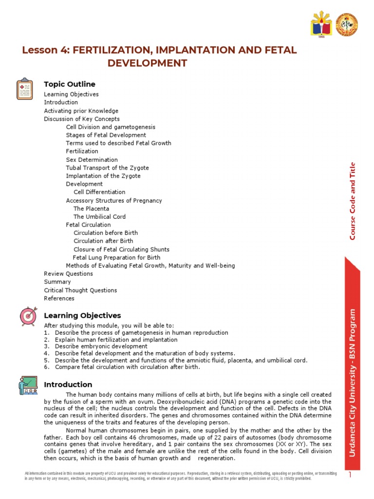 Lesson 4 Fertilization, Implantation and Fetal Development | PDF | Placenta | Fetus