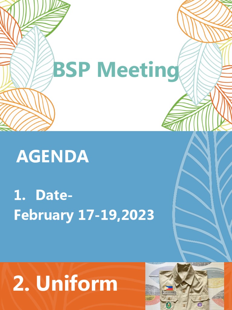 BSP Meeting | PDF