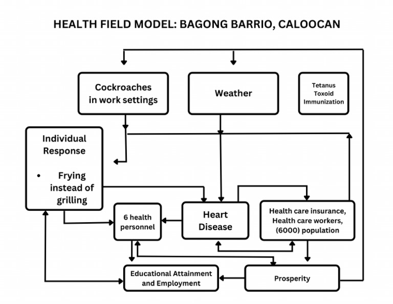 Health Field Model Bagong Barrio Caloocan | PDF