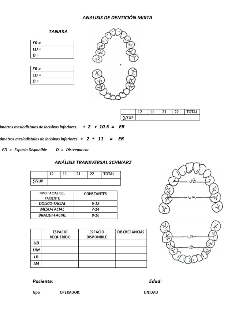 Formato para Analisis de Modelos Correcto | PDF