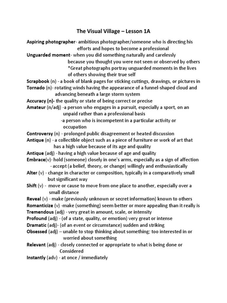 Lesson 1 A The Visual Village | PDF