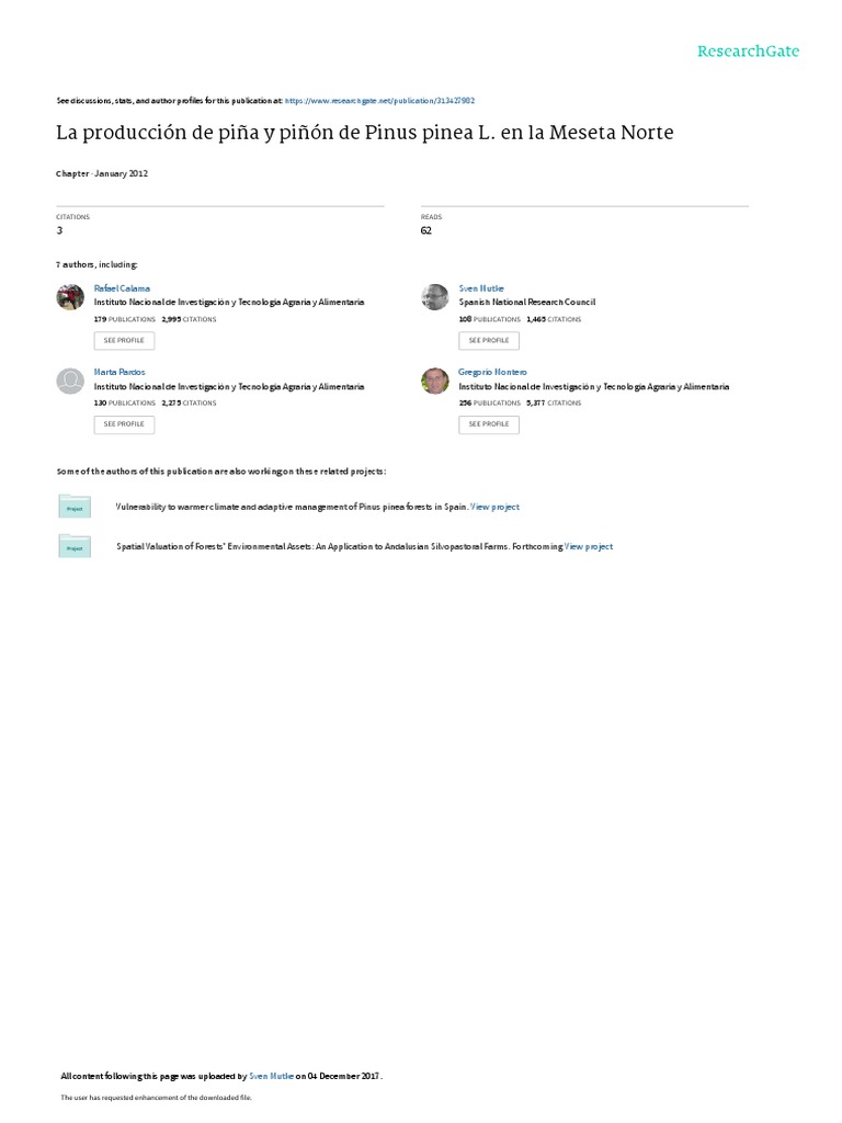 Estudio Producción Piña Pinus Pinea | PDF