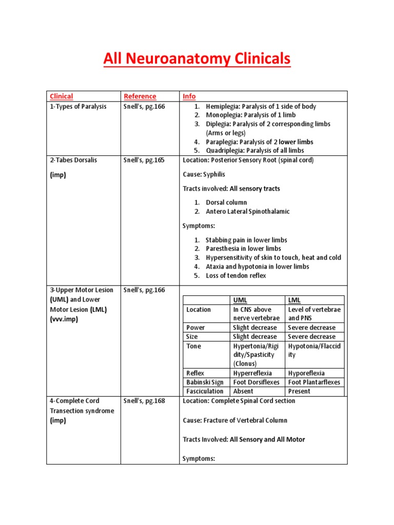 Neuroanatomy Clinicals | PDF