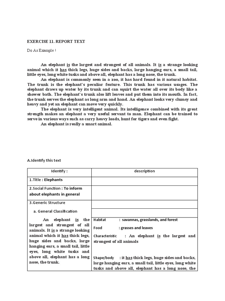 Materi Report Text Dan Exercise 11 | PDF | Elephant | Cognitive Science