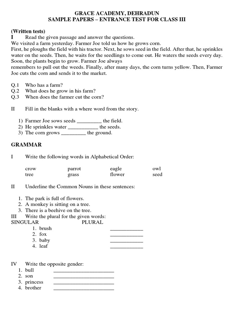 Sample Test Paper For Class III | PDF | Linguistics