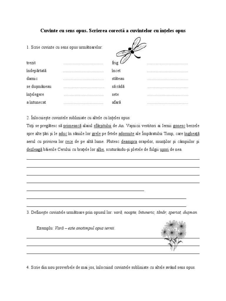 Fisa de Lucru Cuvinte Cu Sens Opus. Scrierea Corecta A Cuvintelor Cu ...
