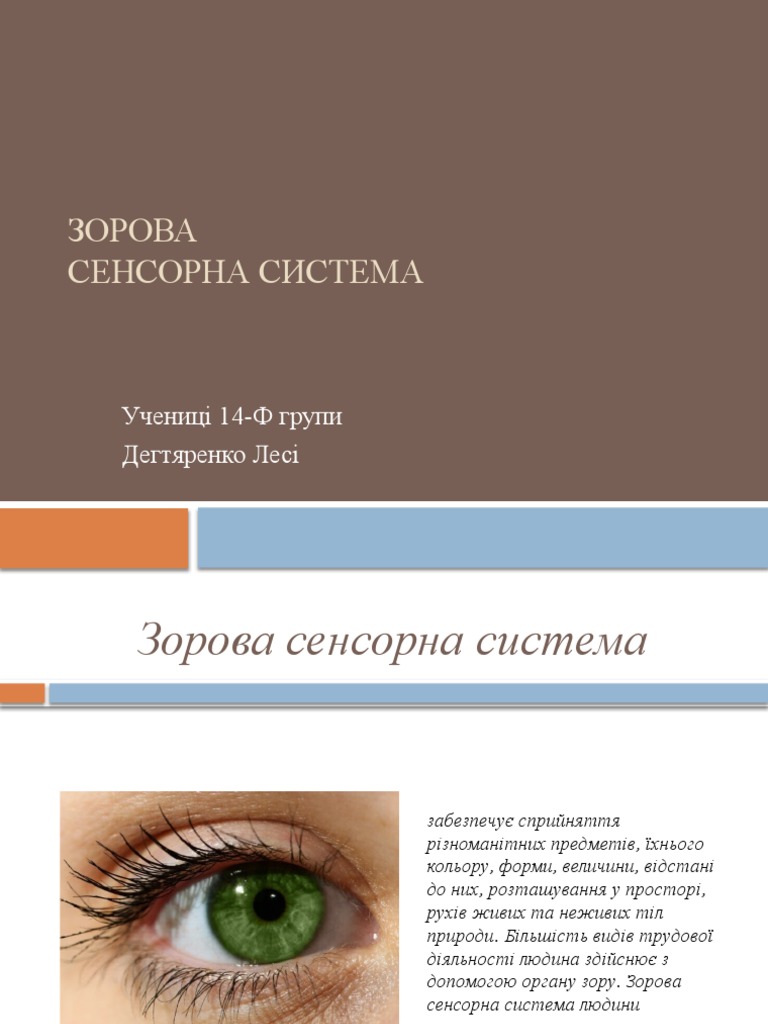 ЗОРОВА | PDF