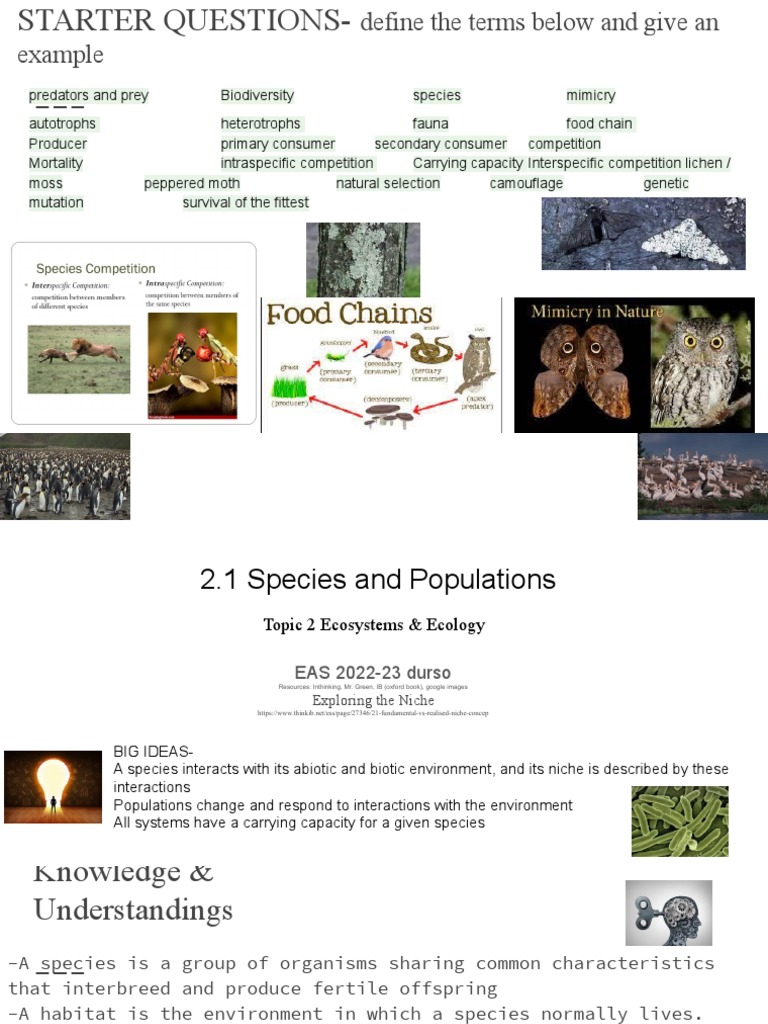 2.1 Ecosystems and Niches 1 | PDF | Ecological Niche | Predation