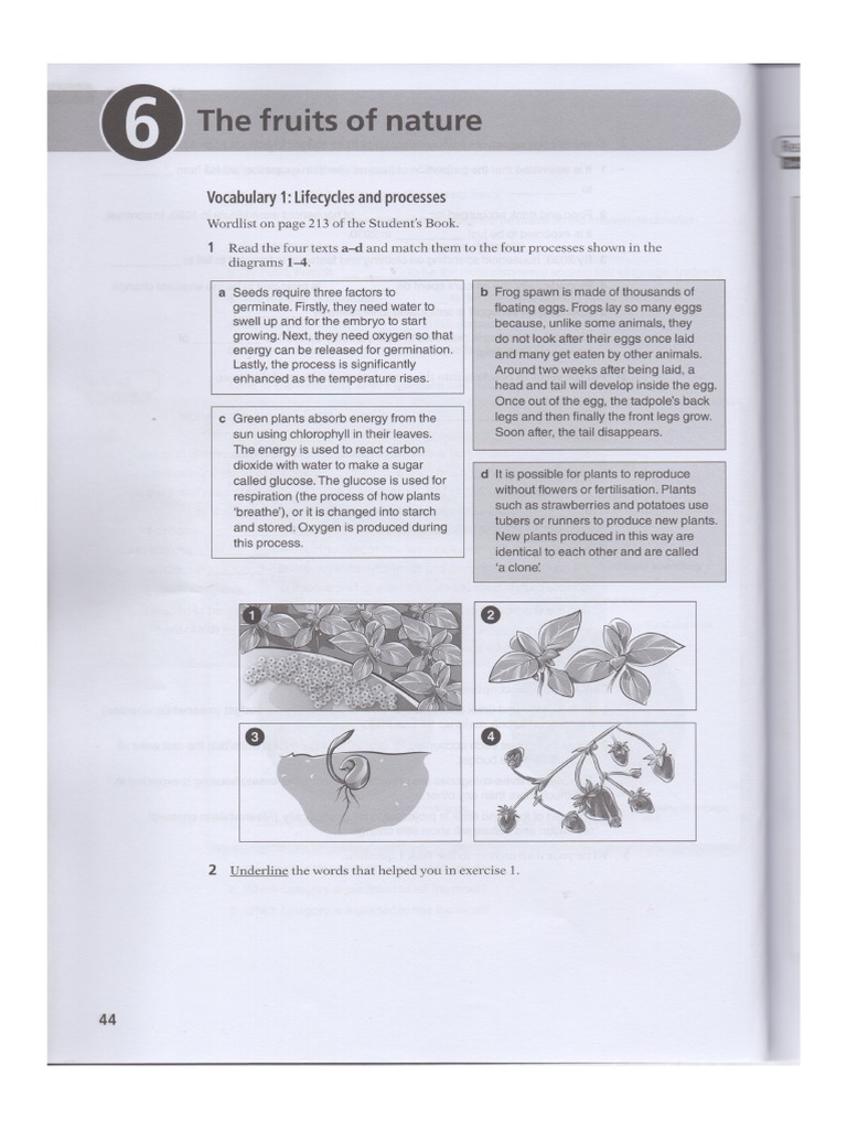 Rfi Week 6 Unit 6 WB | PDF