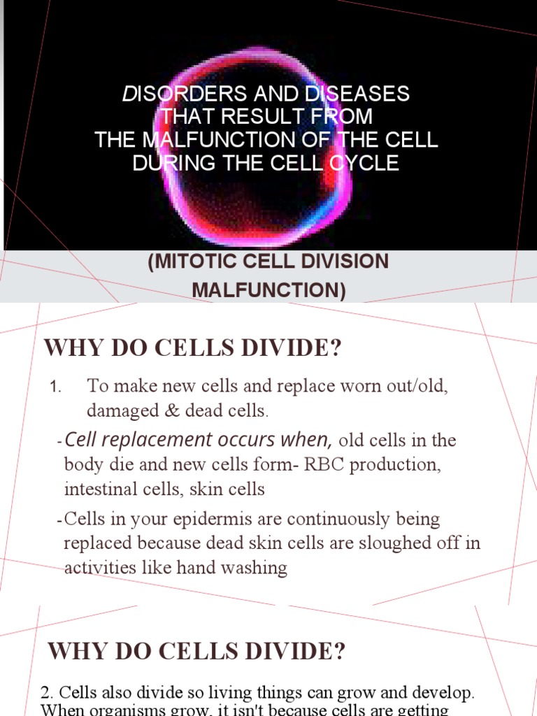 Mitotic Cell Division Malfunction | PDF | Cell Cycle | Cancer