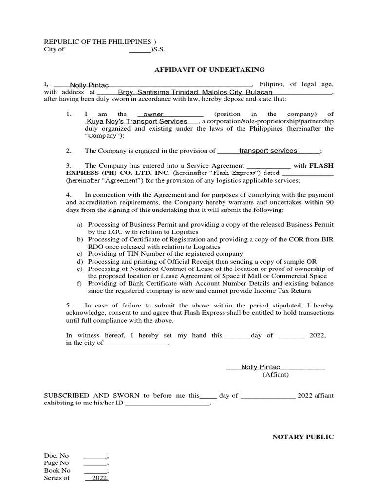 AFFIDAVIT | PDF | Affidavit | Notary Public