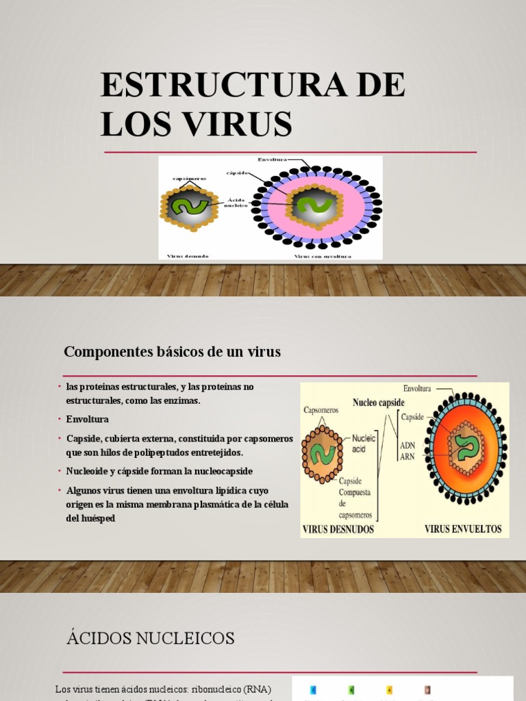 Estructuras de Los Virus | PDF