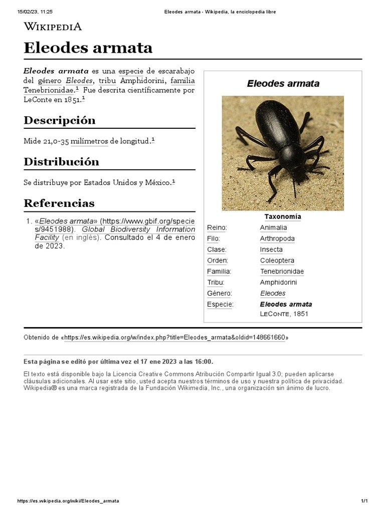 Eleodes Armata - Wikipedia, La Enciclopedia Libre | PDF