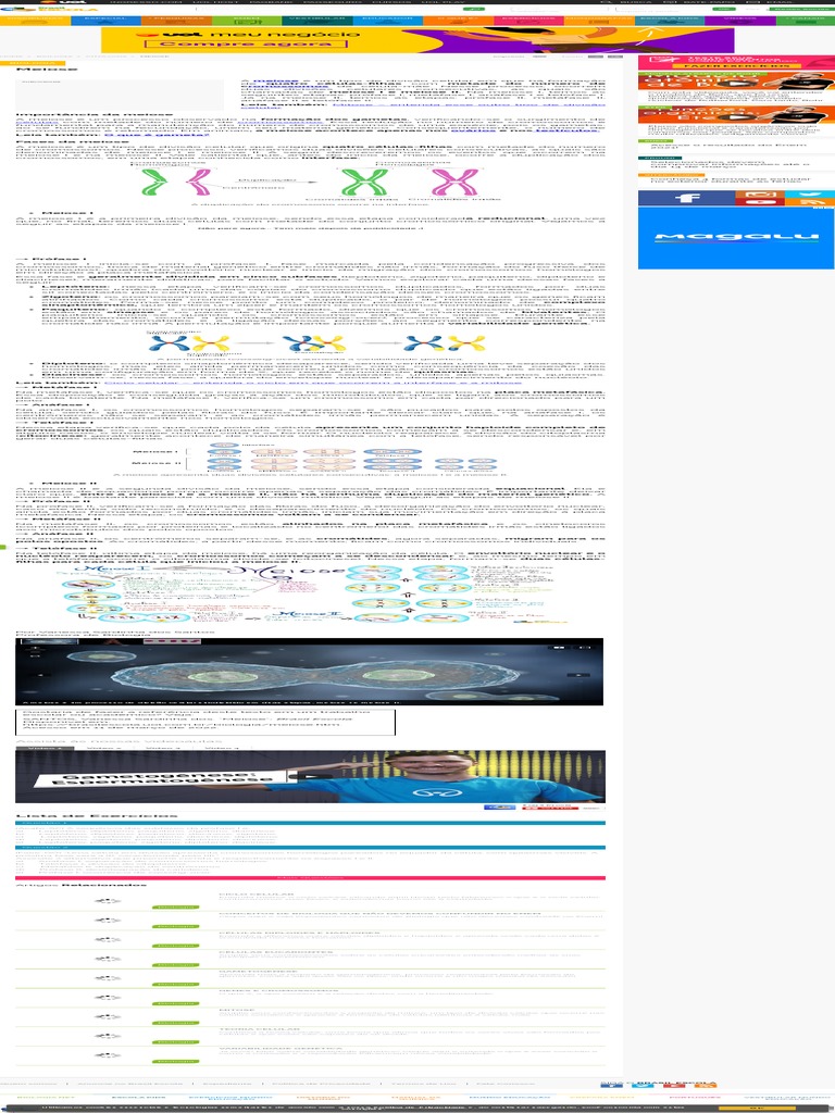 Meiose Brasil Escola Pdf Meiose Mitose