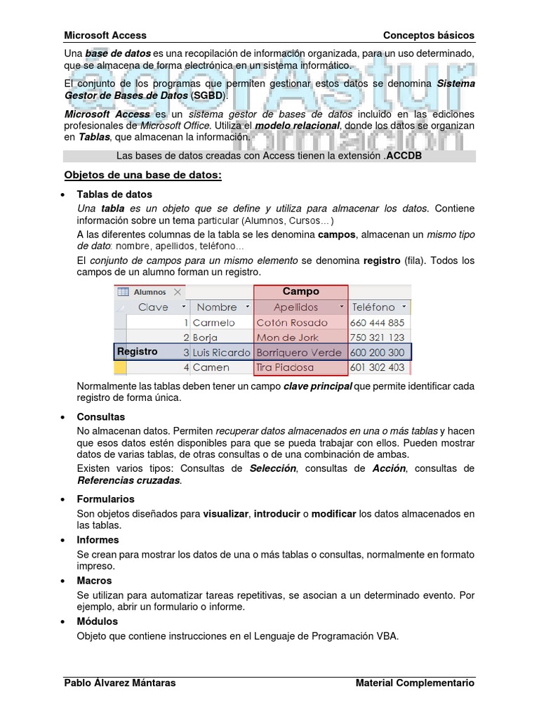Access - Conceptos básicos | PDF