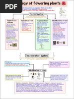 Kumar Objective Botany | PDF