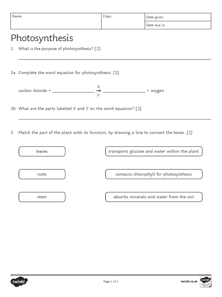 t3 SC 348 ks3 Photosynthesis Homework Activity Sheet | PDF