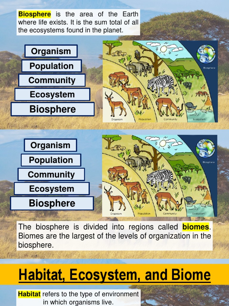 Q2 Lesson 1 Tundra and Desert Land Biomes Environmental Science 7 | PDF ...