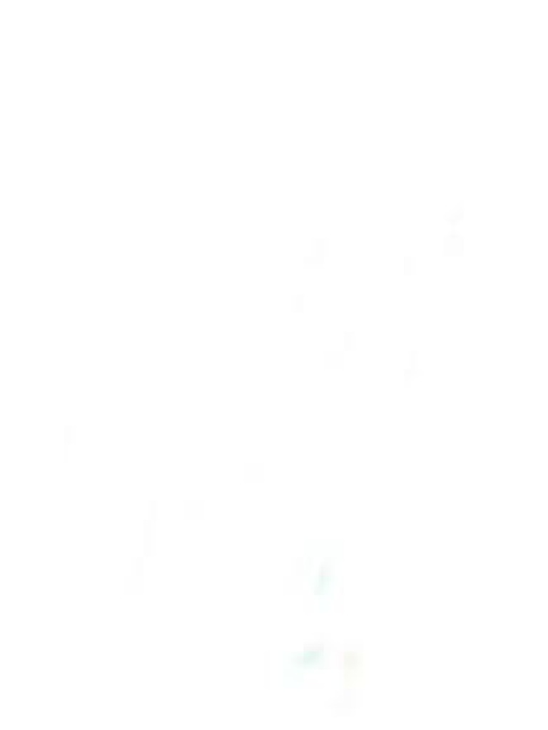 White | PDF