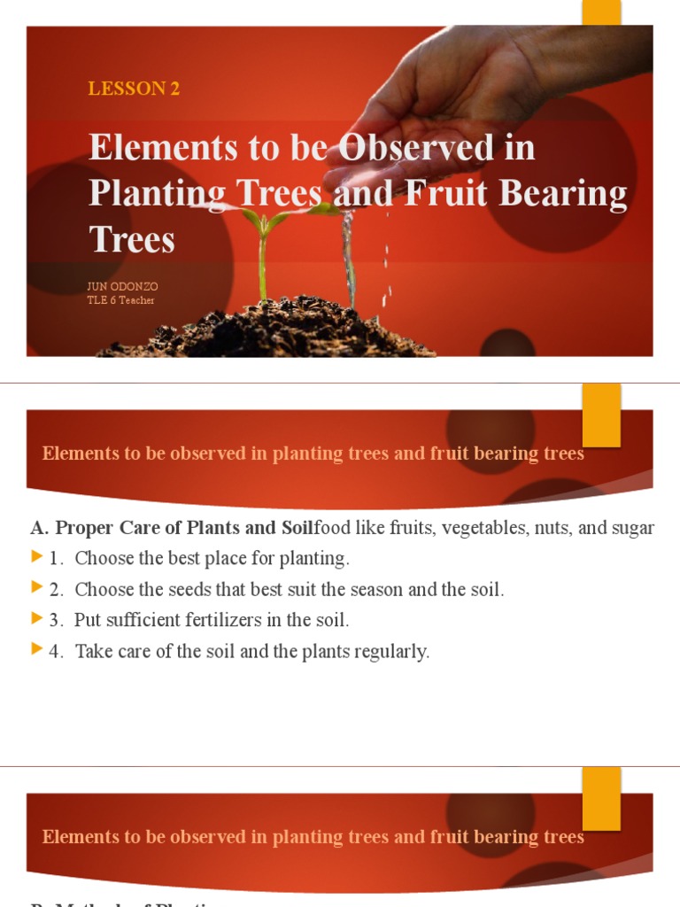 Agri Lesson 2 Elements To Be Observed in Planting Trees and Fruit Bearing Trees | PDF | Seed | Trees