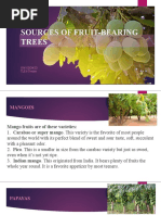 Planting System in Orchards | PDF | Rectangle | Orchard