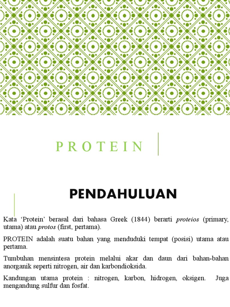 Materi 3 Protein | PDF
