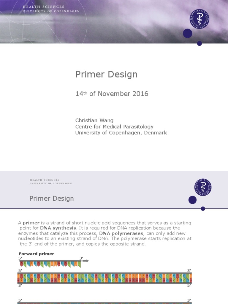 Primer Design Exercise | Download Free PDF | Primer (Molecular Biology ...