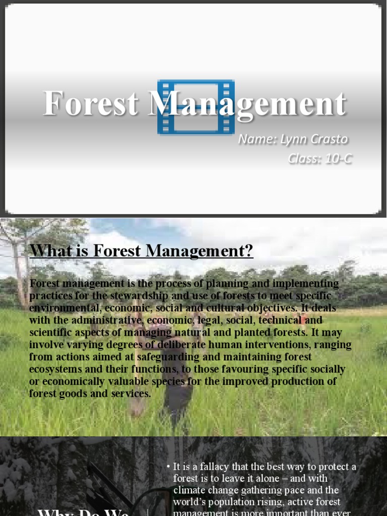 Forest Management | Download Free PDF | Forests | Forest Management