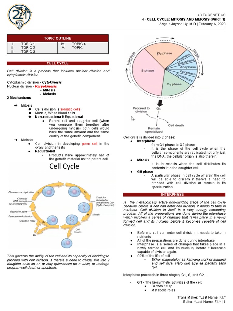 4.1 - Cell Cycle Part 1 | PDF | Mitosis | Chromosome