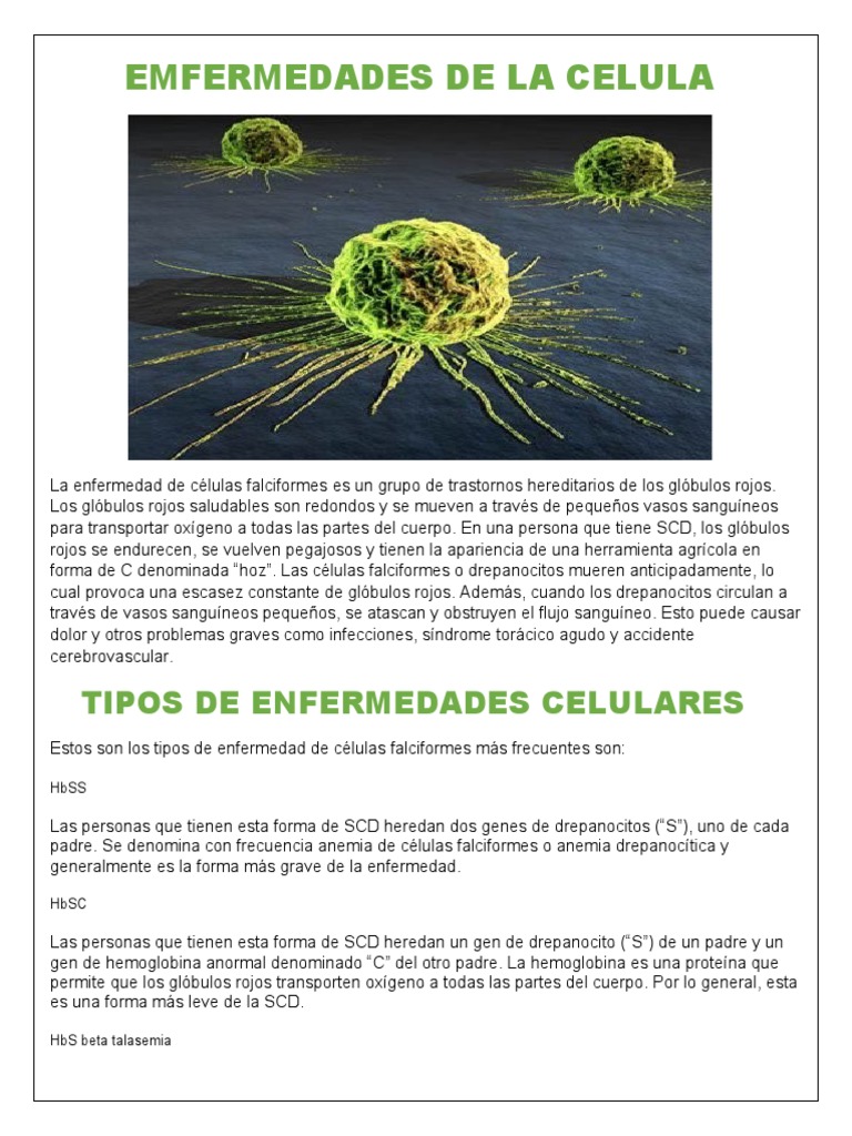 Emfermedades de La Celula | PDF | Química
