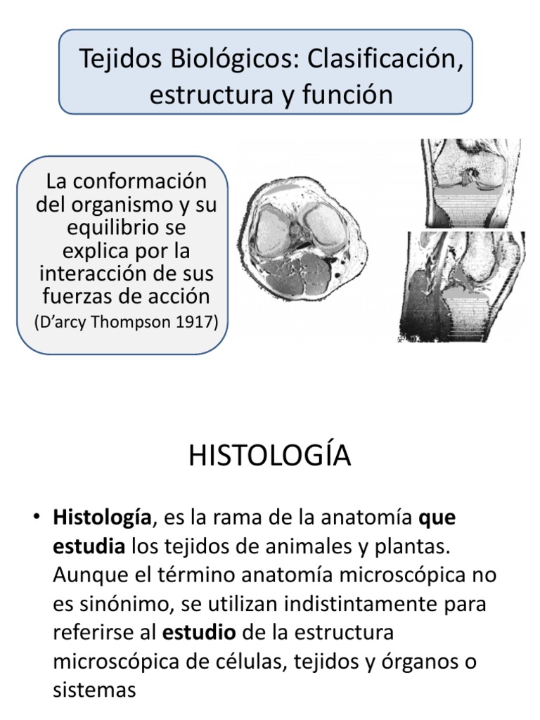 Introducción a la Histología | PDF | Tejido conectivo | Histología