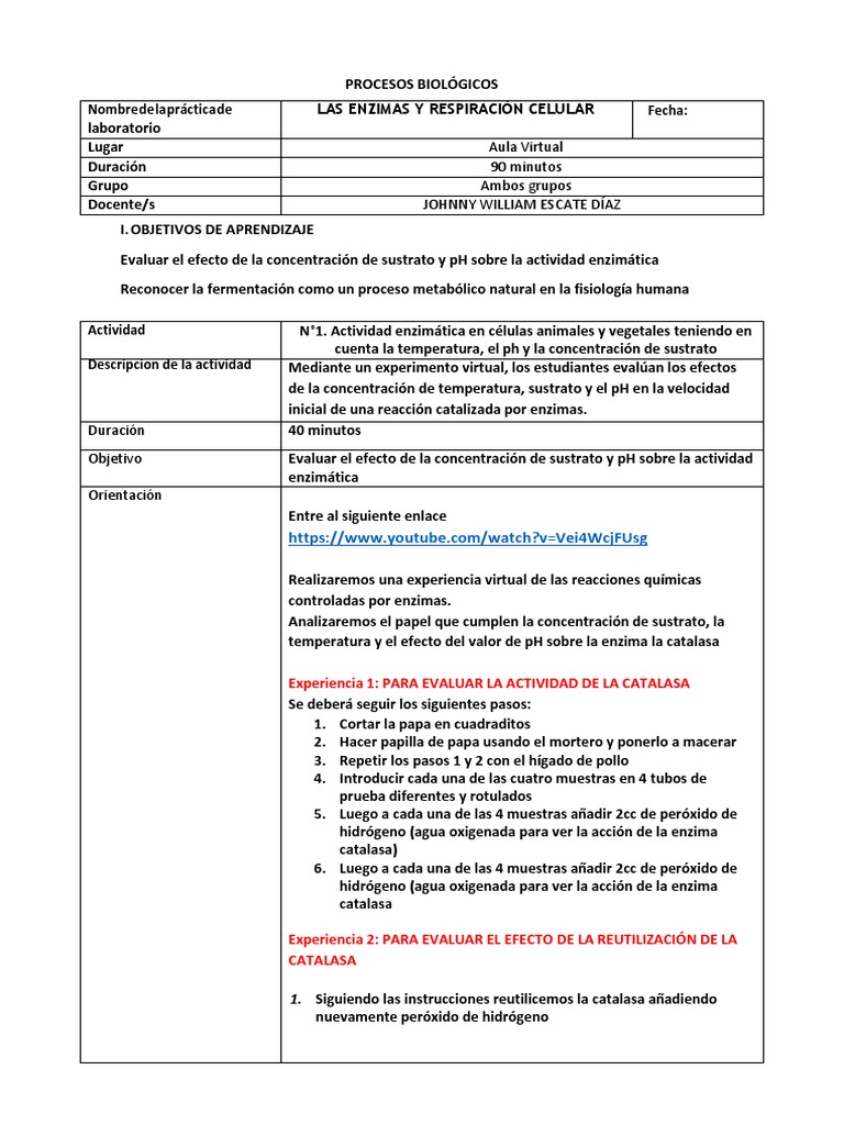 Guía 10 PB | PDF | Sustrato (Química) | Enzima