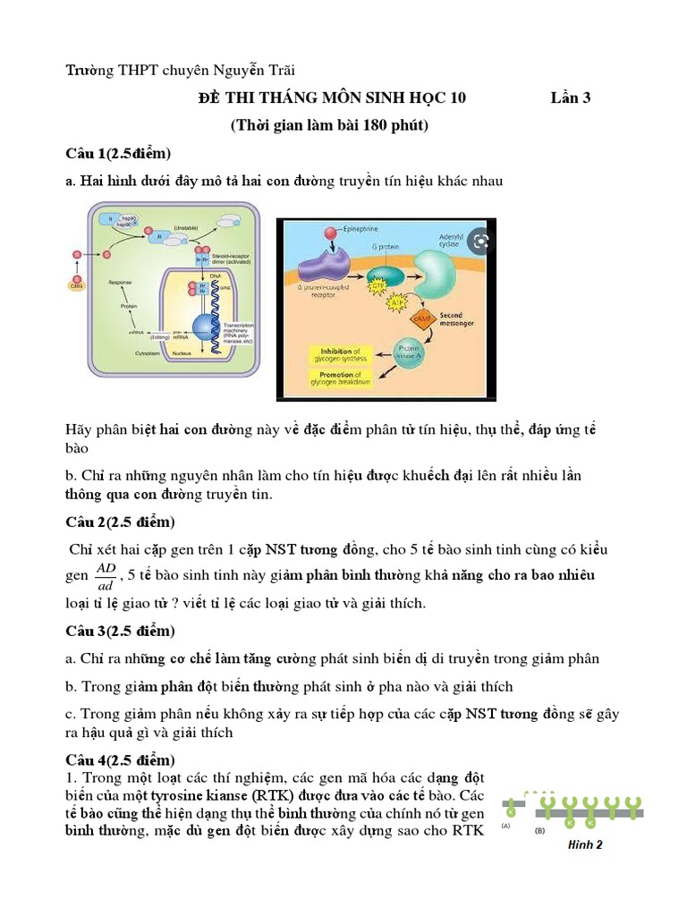 10sinh Nangkhieul4 | PDF