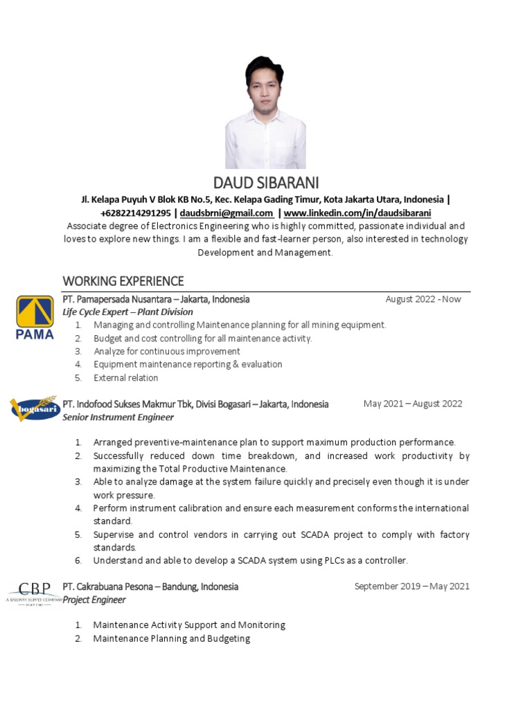 Daud Sibarani: Working Experience | PDF | Scada | Engineer