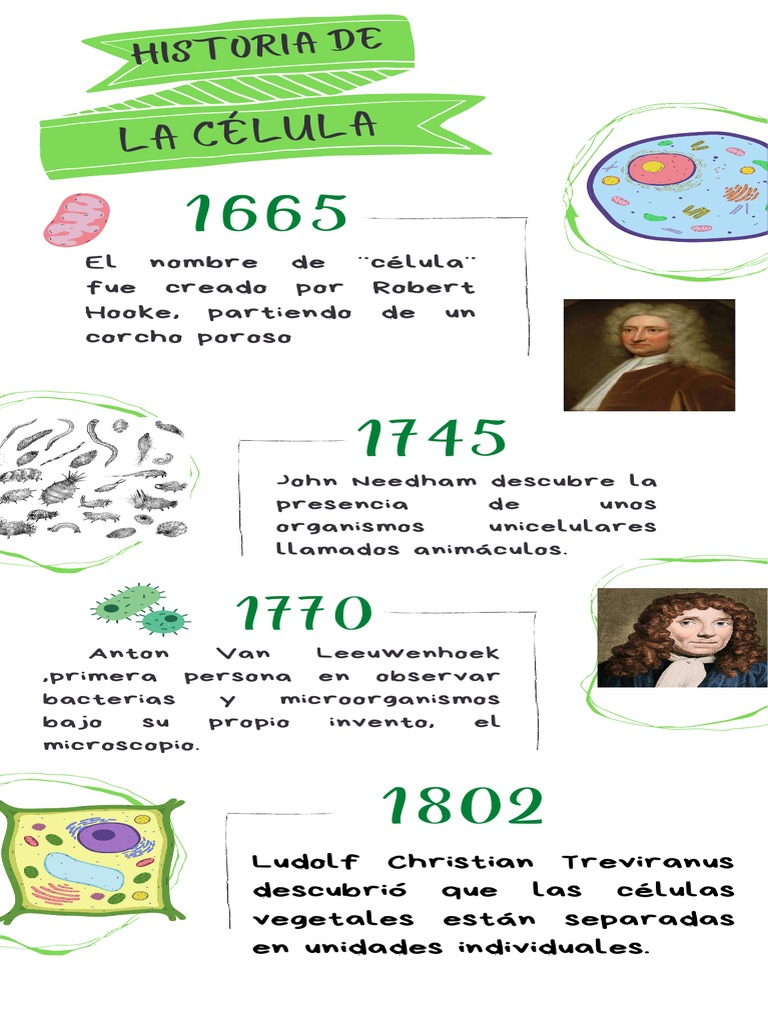 Historia de La Célula | PDF | Biología Celular) | Microscopio