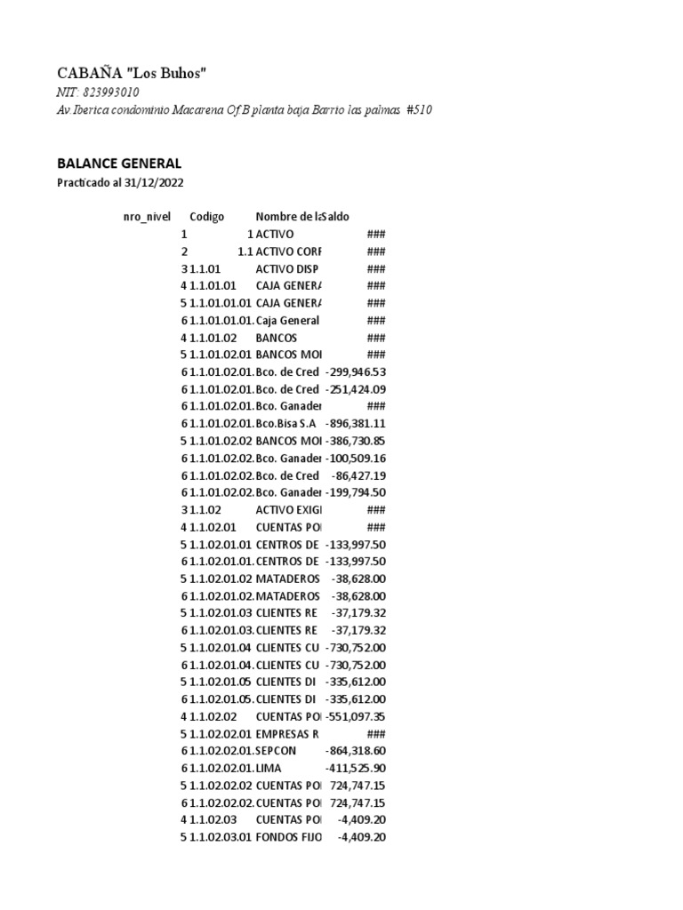 Balance General 31122022 | PDF