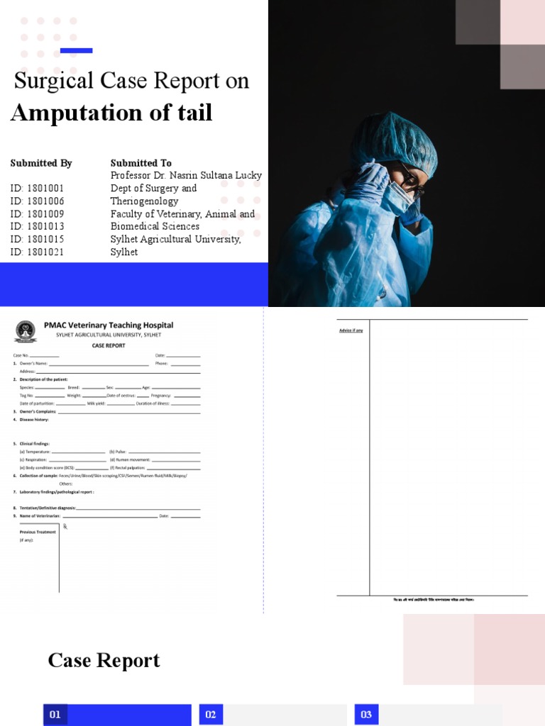 Amputation of Tail | Download Free PDF | Vertebra | Vertebral Column