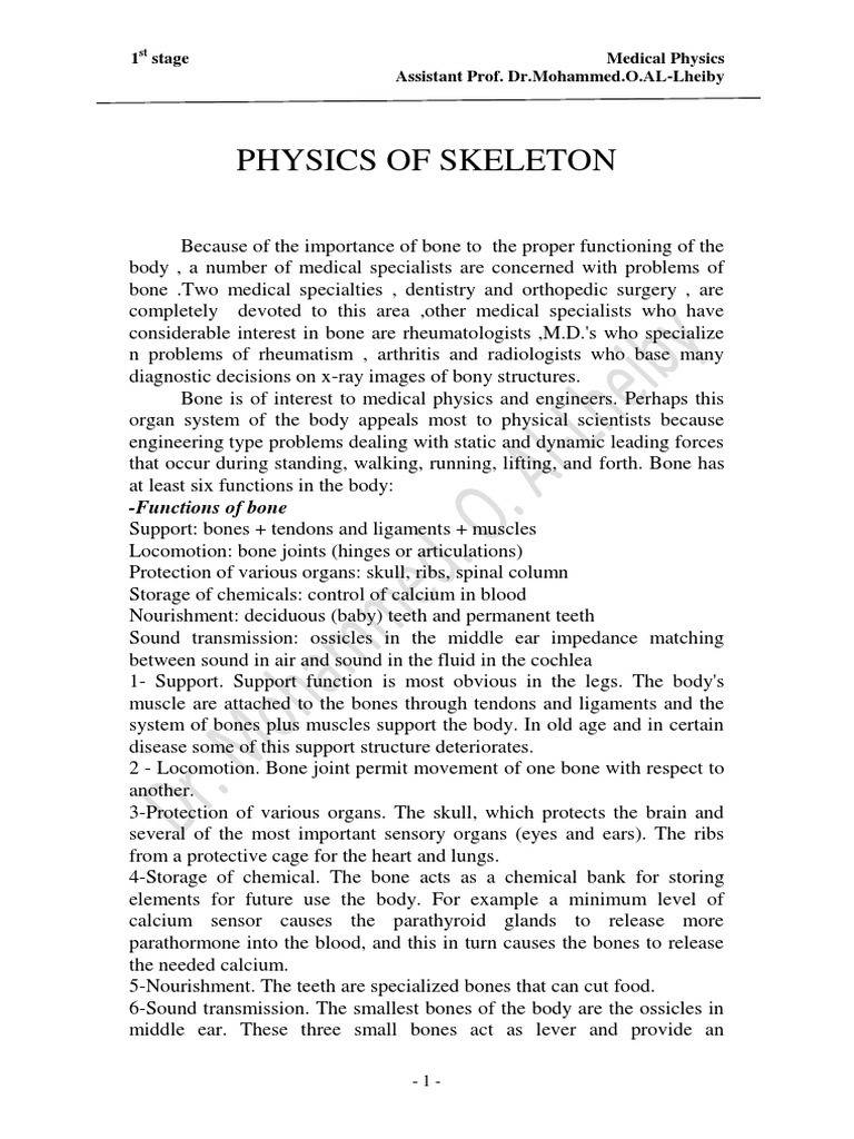 Understanding Bone Physics and Functions | PDF | Bone | Musculoskeletal ...