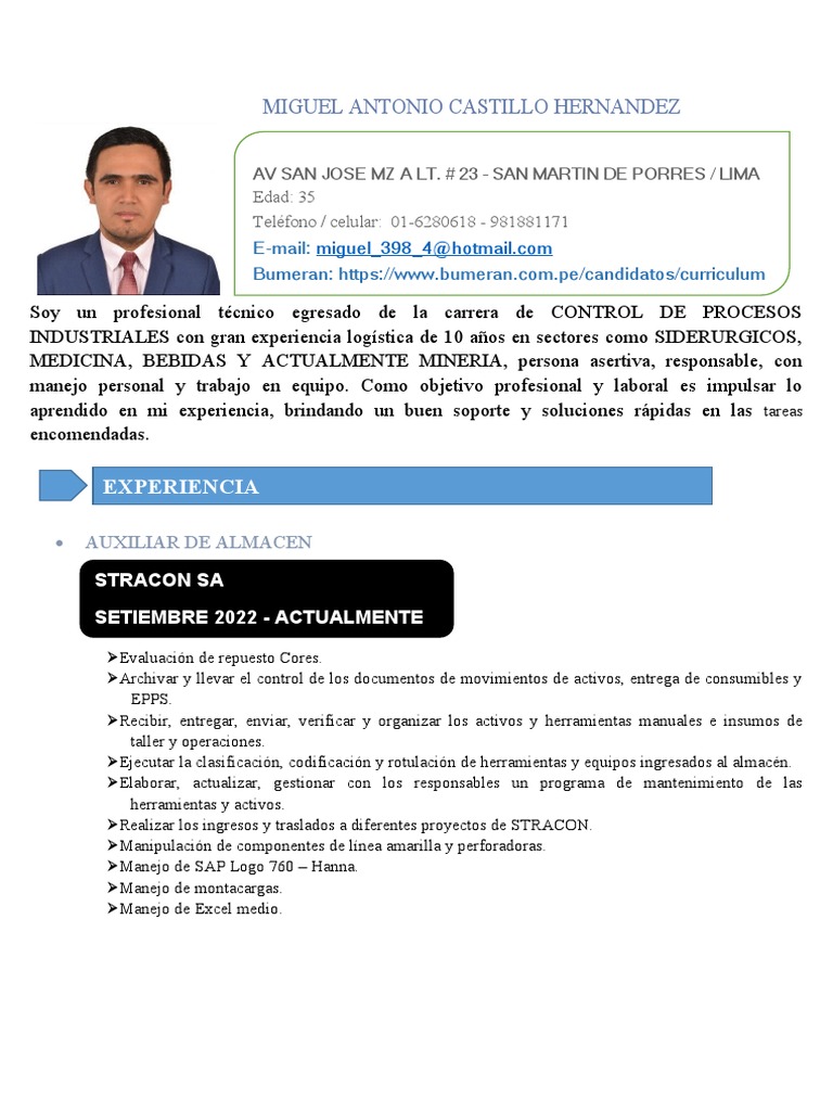 Currículum de Miguel Castillo: Logística y Almacén | PDF | Ingeniería ...