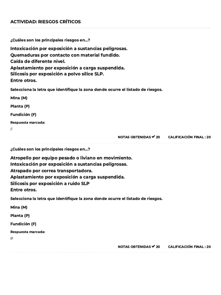 Actividad Riesgos Criticos - Codelco - Elearning | PDF