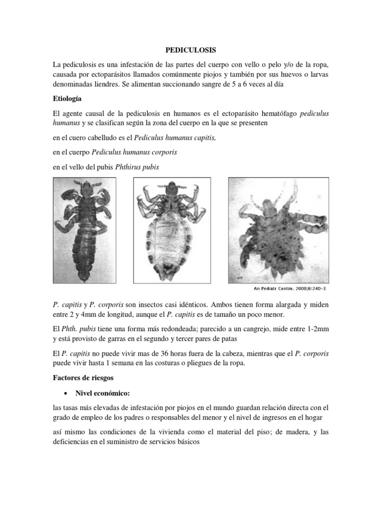 Pediculosis: Causas, Síntomas y Tratamiento | PDF | Medicina CLINICA ...