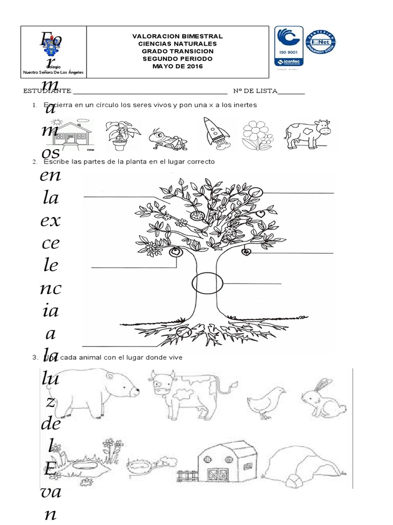 Actividades de Ciencias Naturales 2° Período | PDF