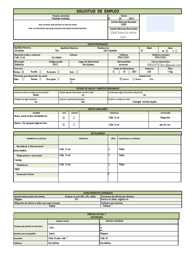 Formato-Solicitud-de-empleo-Word | PDF