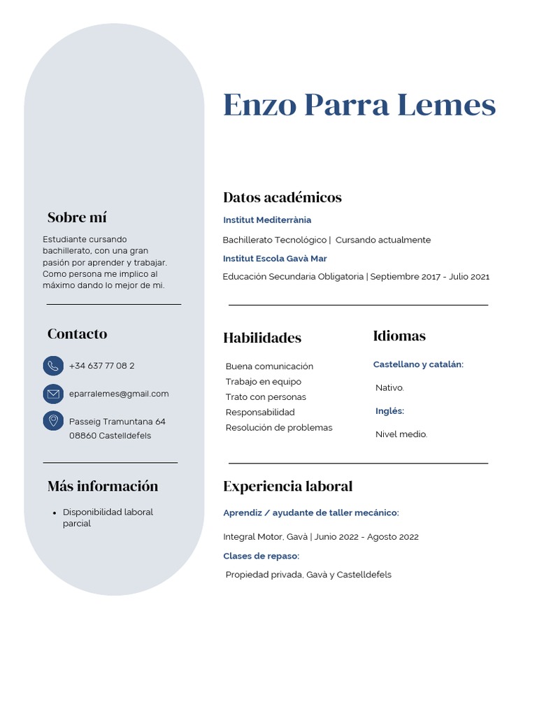 CV Enzo | PDF