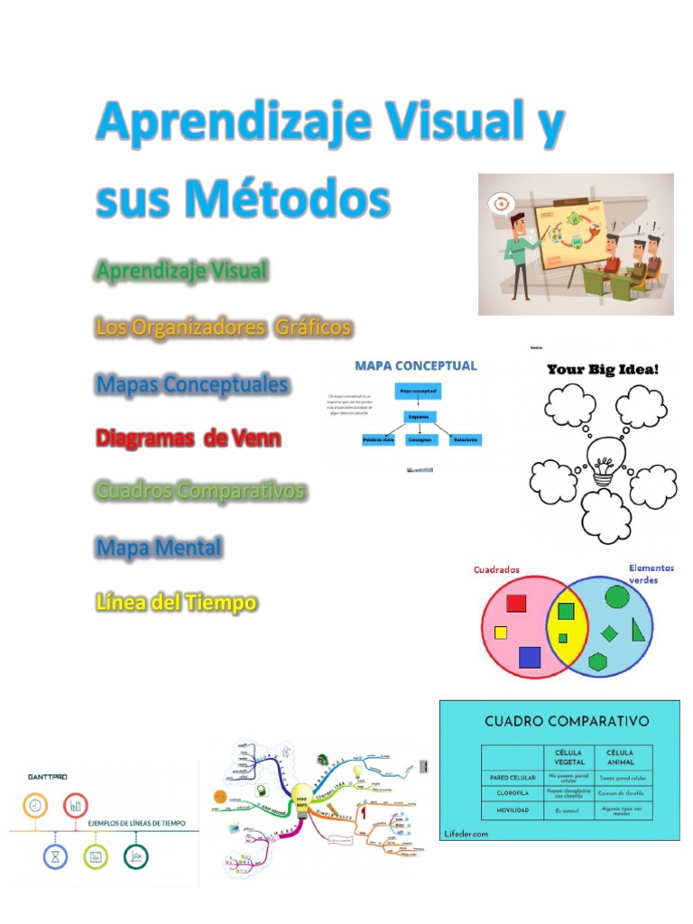 Aprendizaje Visual y Sus Métodos | PDF
