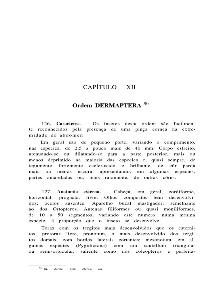 Características e Anatomia dos Dermaptera | PDF | Besouro | Insetos
