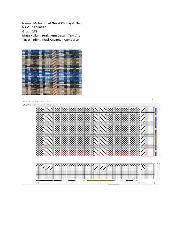 Analysis of the Sari Nopal Fay Weaving Pattern: Warp and Weft Colors, Float Lengths, Heddle ...